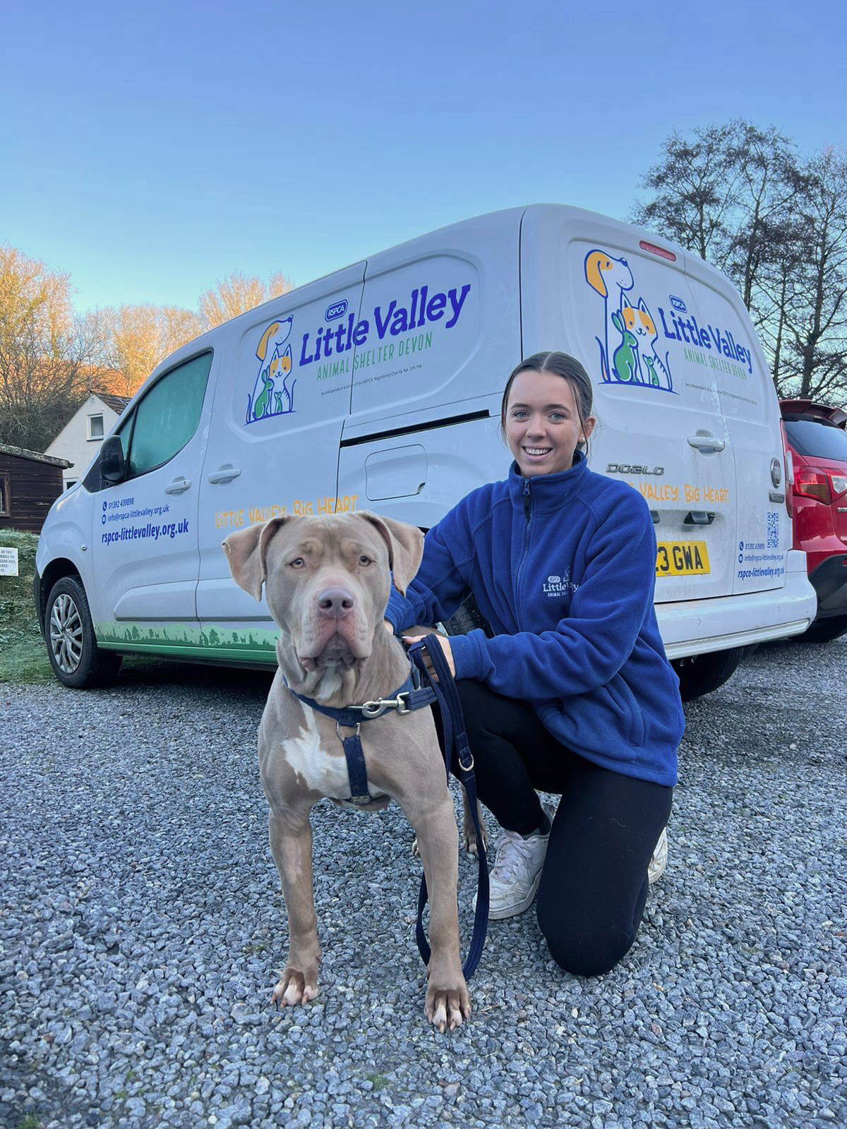 Millie hits the road - RSPCA Little Valley Animal Shelter